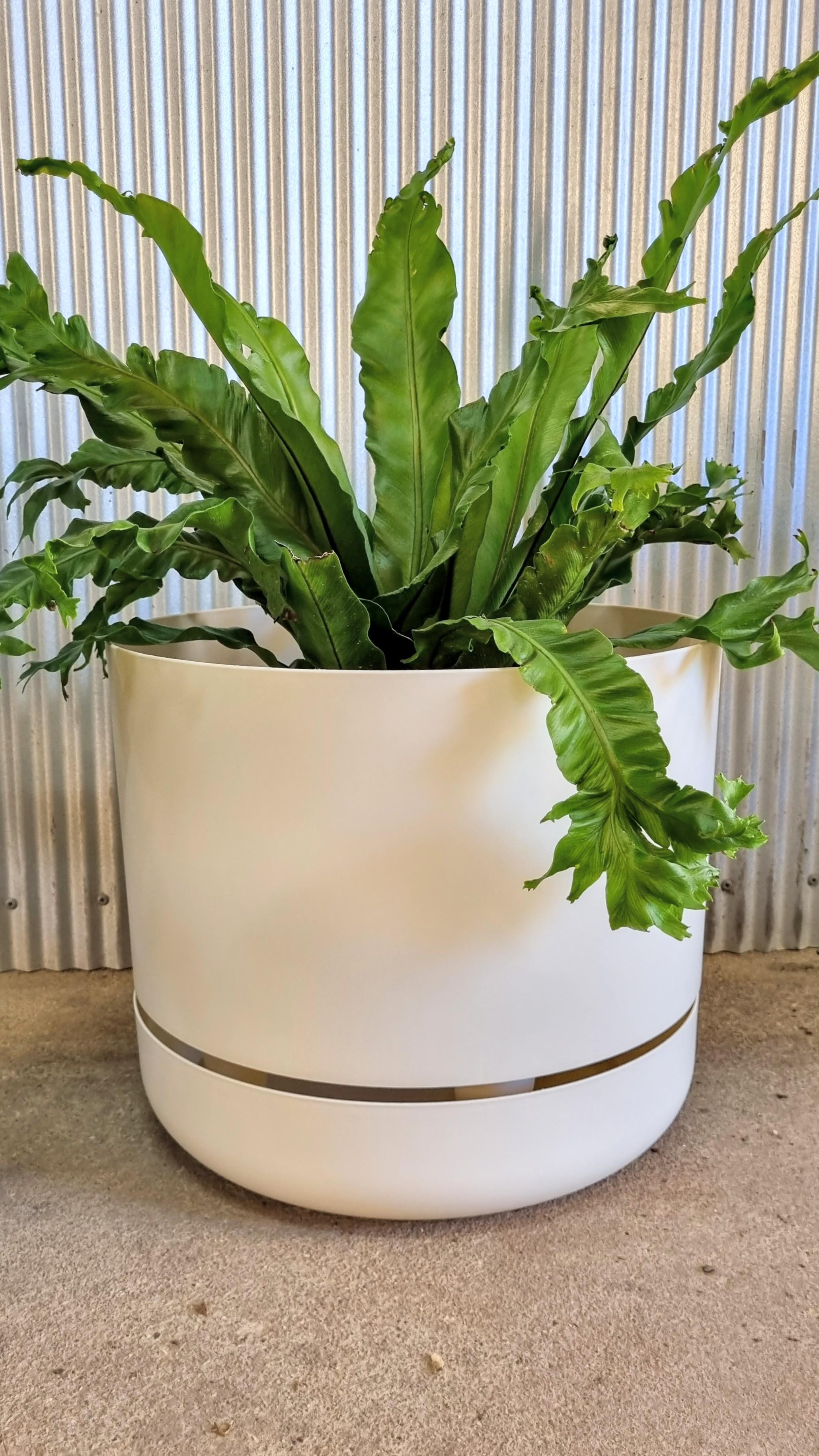POTS – Avalon Nursery