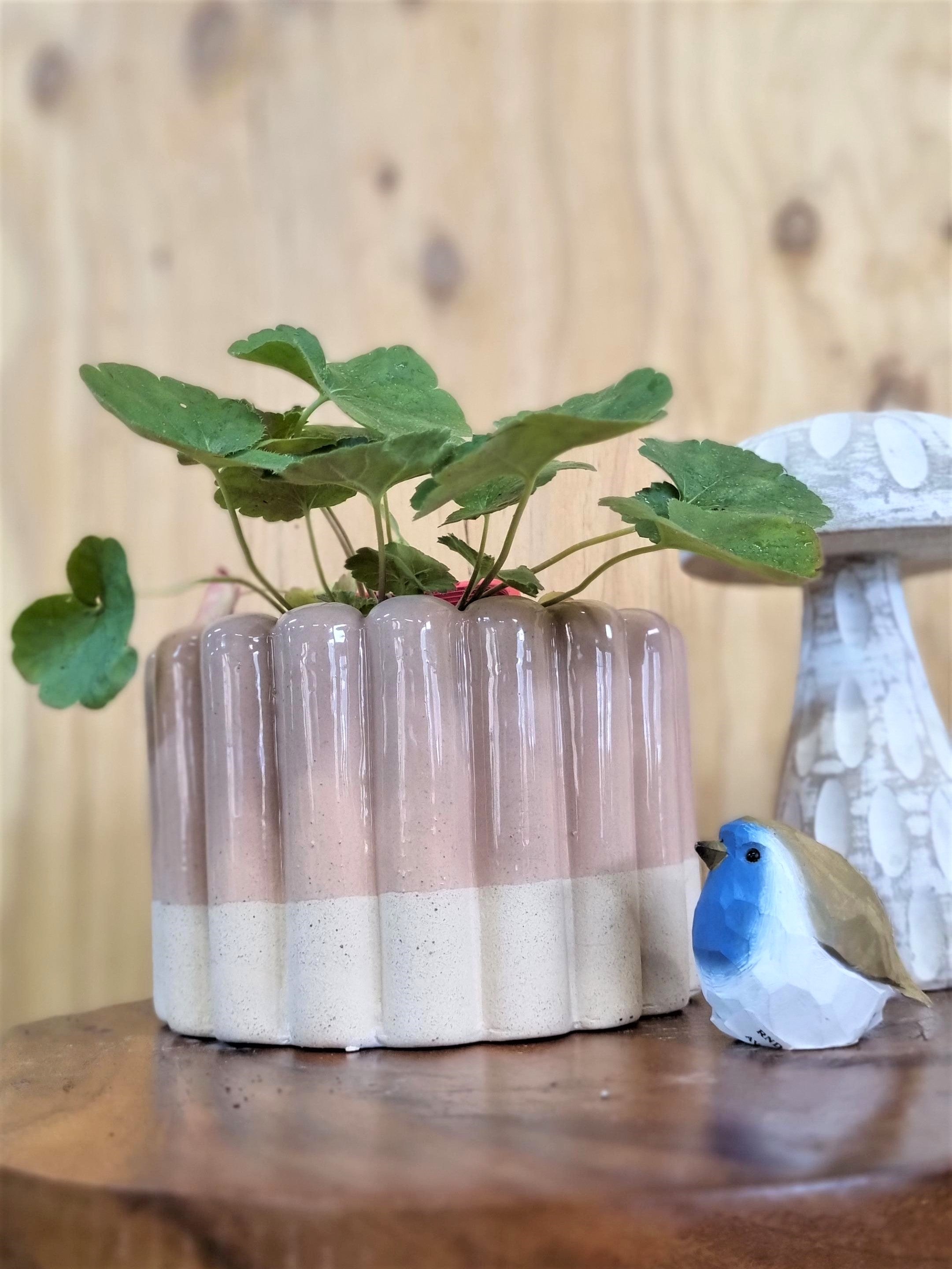 Avalon Nursery // Garden Accessories
