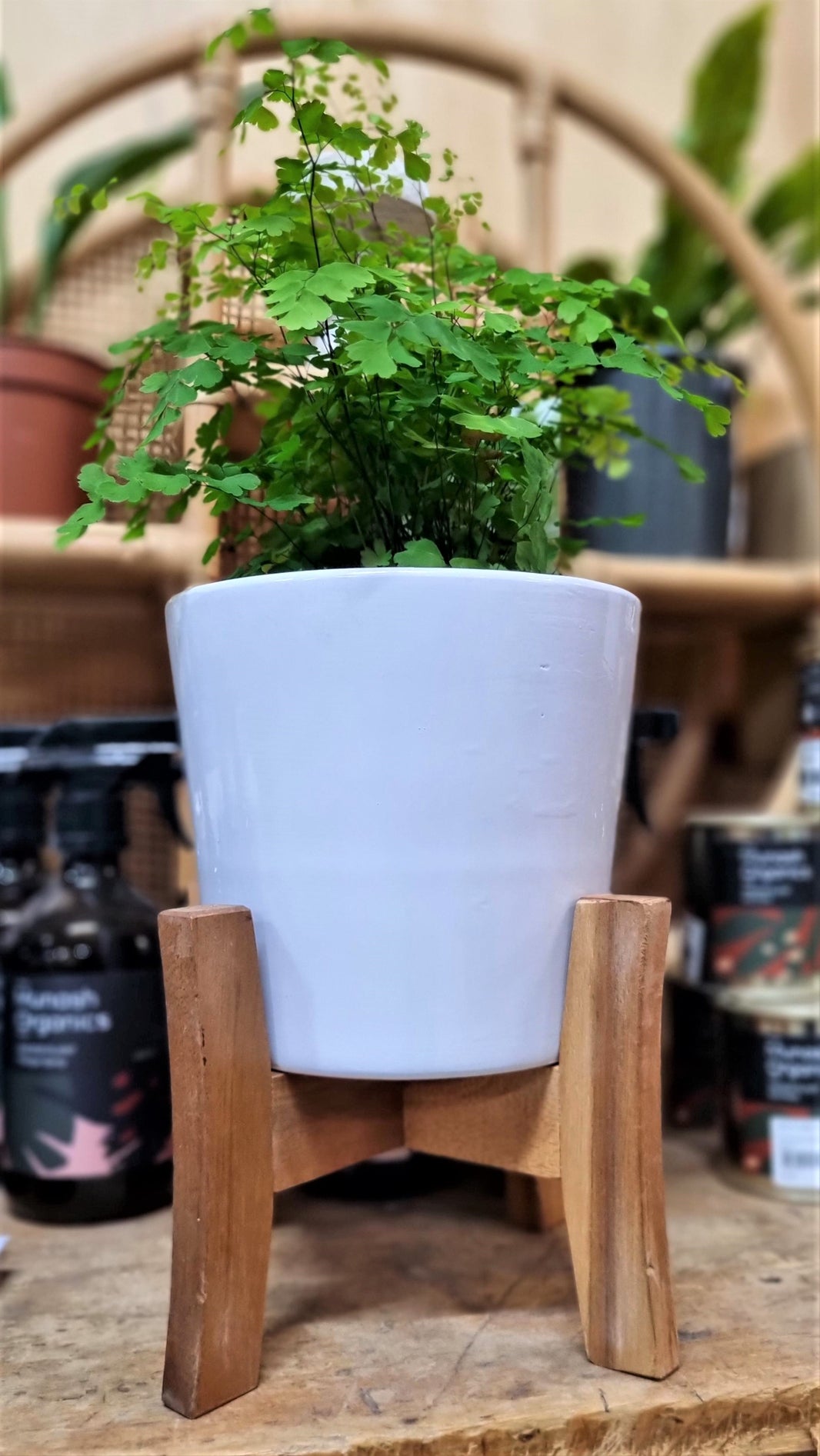 Avalon Nursery // Garden Accessories – tagged "POTS"