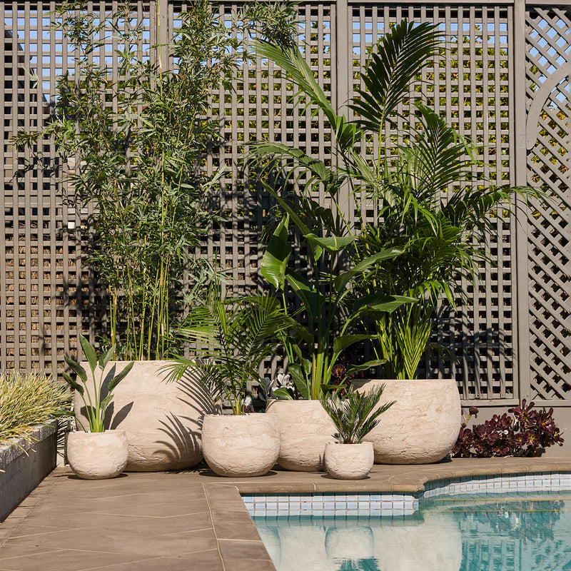 MEGA BELLY POT WHITE PIETRA EXTRA LARGE – Avalon Nursery