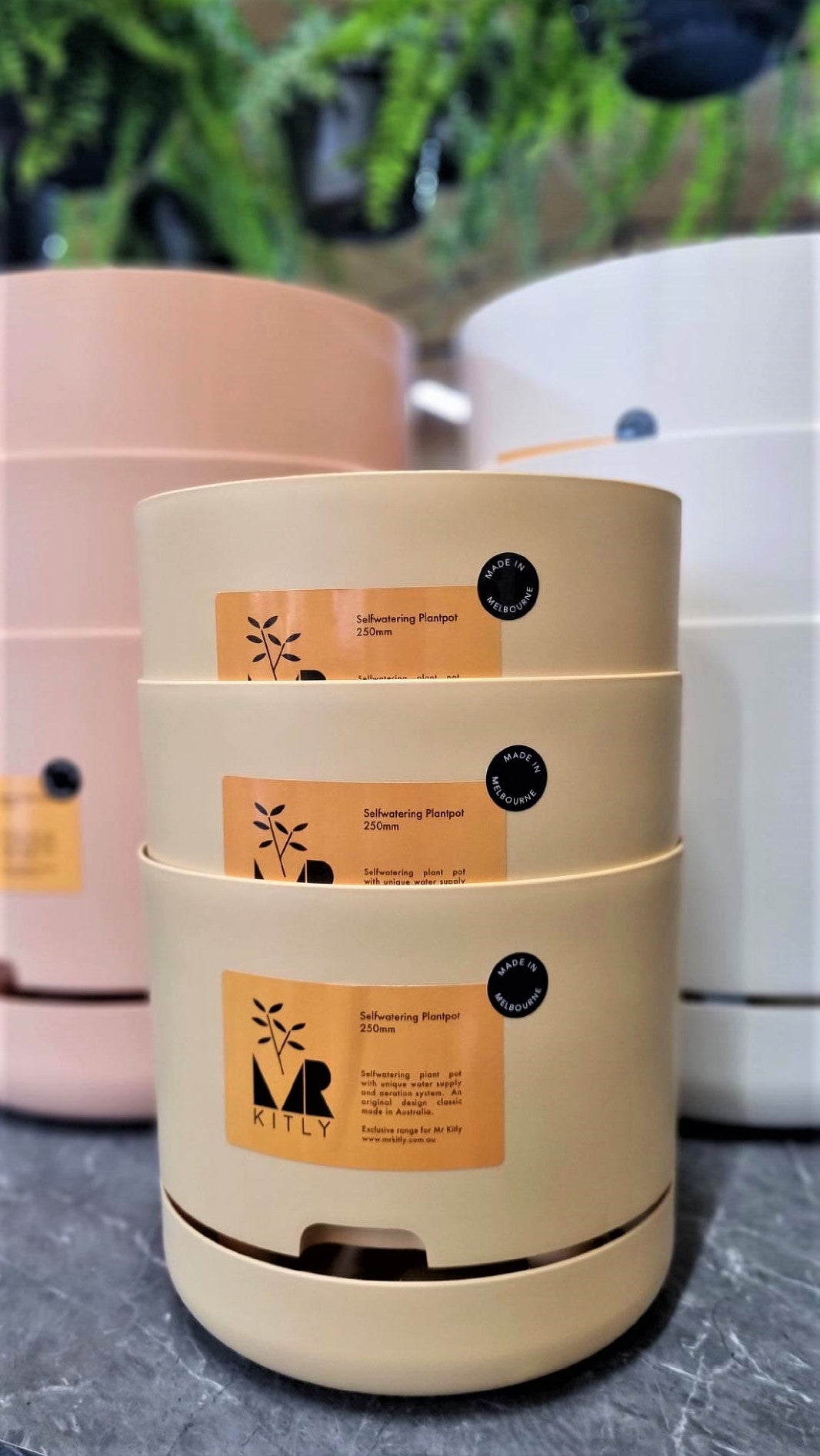 MR KITLY SELFWATERING POT 250MM BUFF – Avalon Nursery