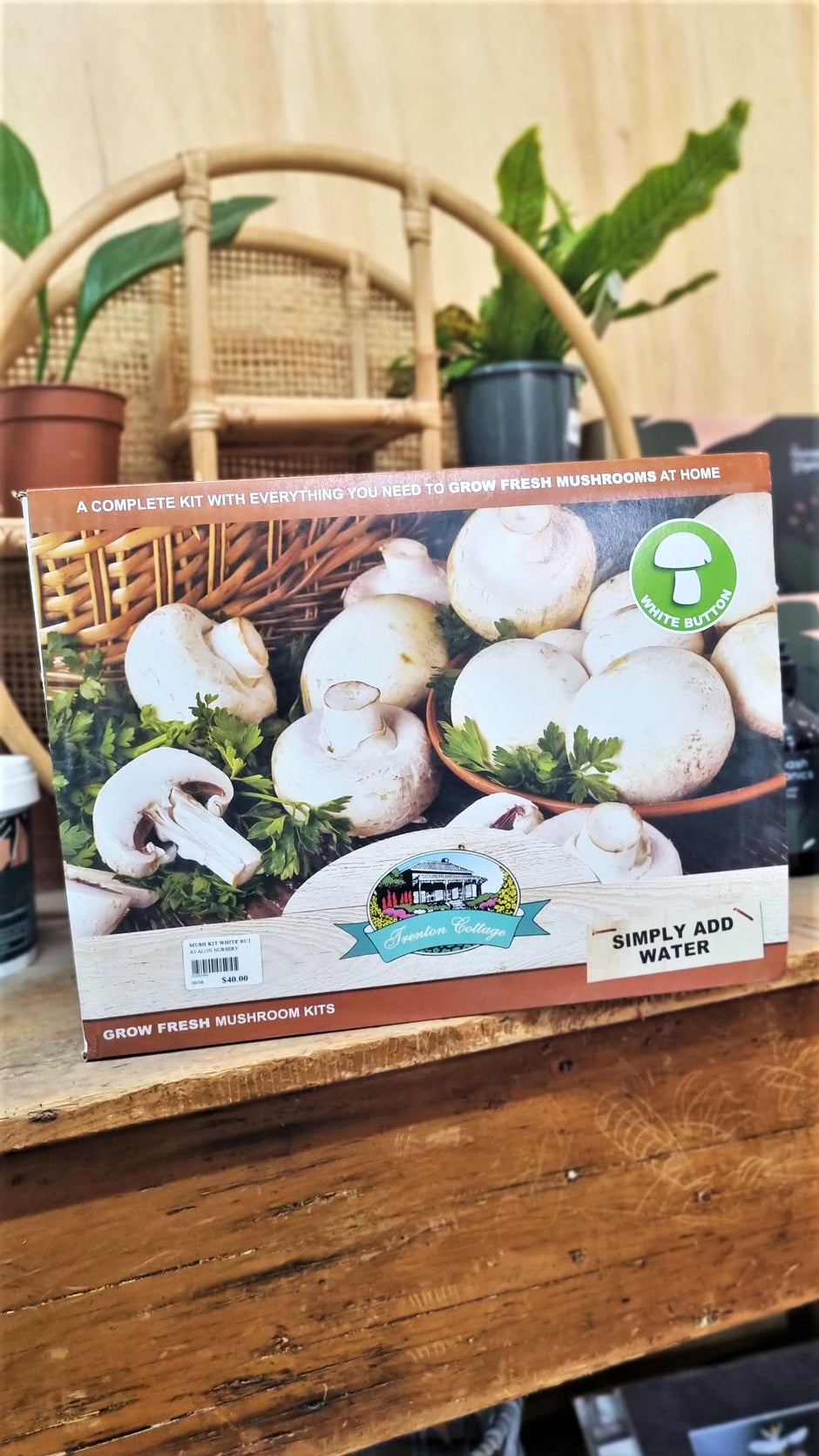 MUSHROOM KITS – Avalon Nursery