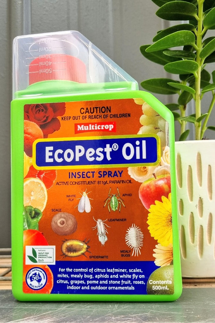 ECOPEST OIL CONCENTRATE 500ML – Avalon Nursery
